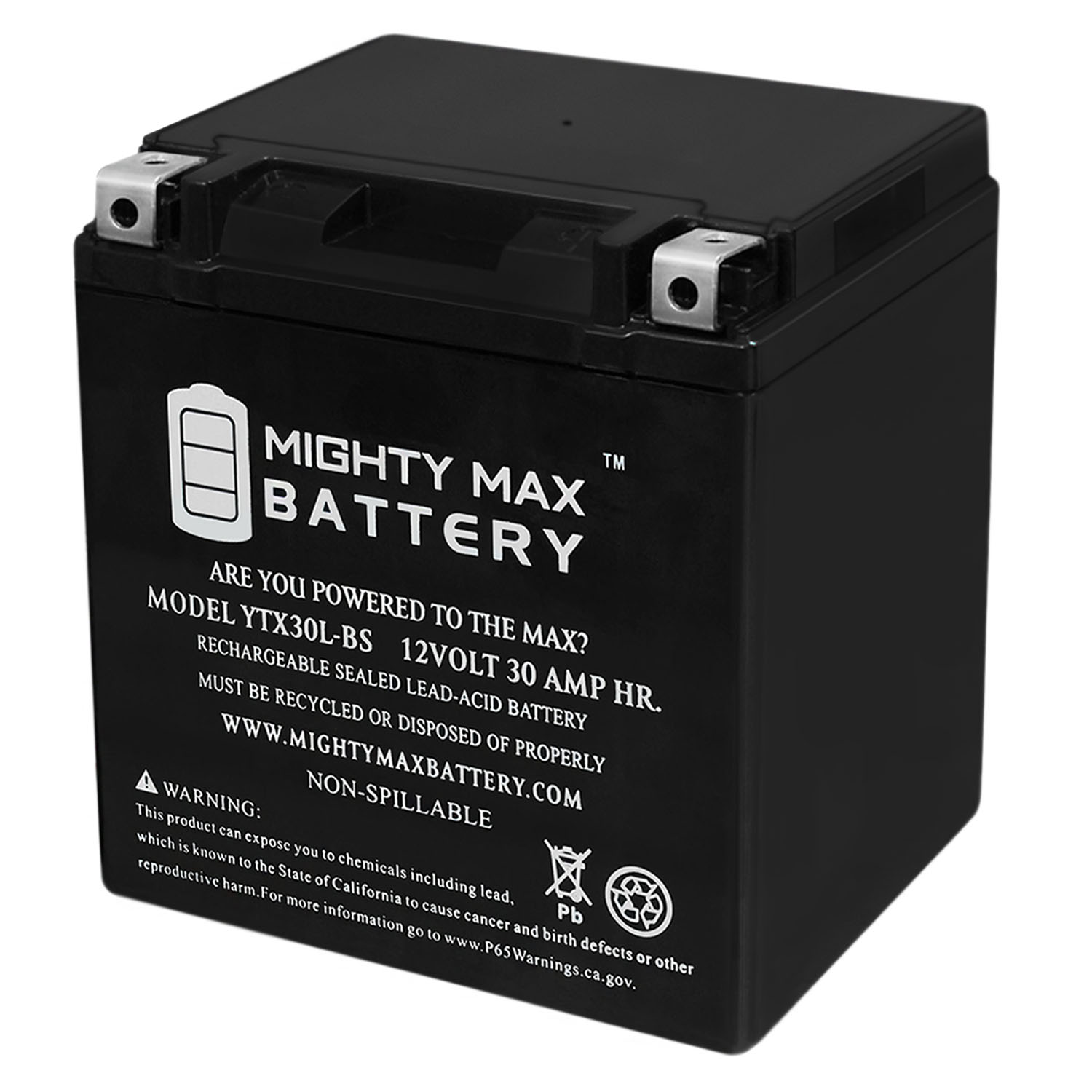 YTX30L-BS -12 Volt 30 AH, 385 CCA, Rechargeable Maintenance Free SLA ...