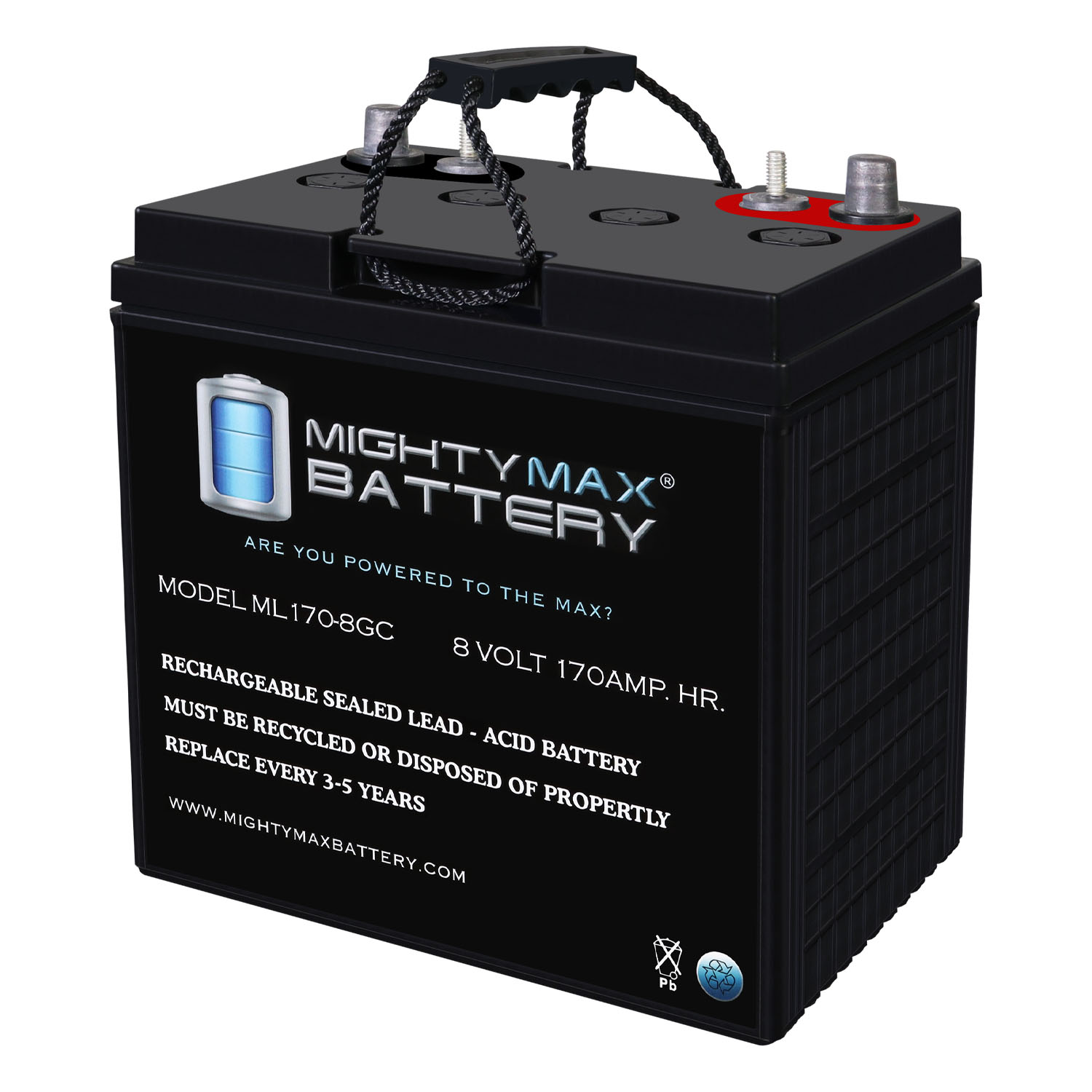 Mighty Max Battery ML170-8GC - 8 Volt 170 AH, Dual Terminal ...