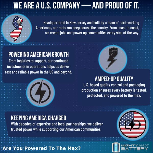 ML12-6F2 - 6 Volt 12 AH, F2 Terminal, Rechargeable SLA AGM Battery ...